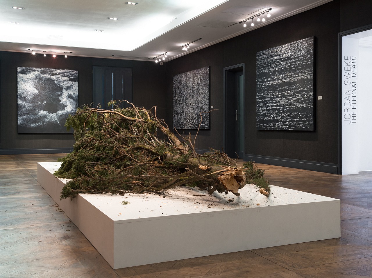 JORDAN SWEKE: The Eternal Death | Installation Views | Everard Read ...