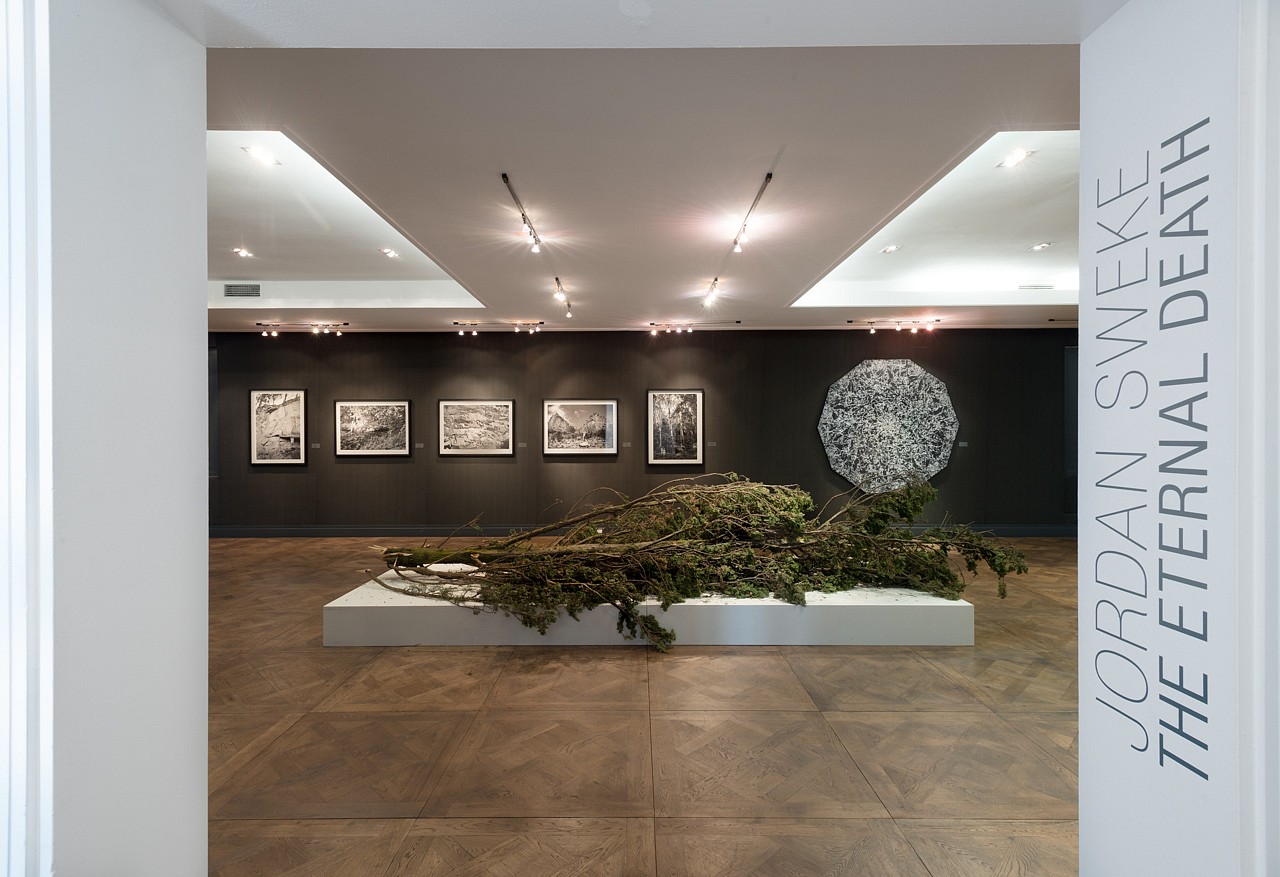JORDAN SWEKE: The Eternal Death | Installation Views | Everard Read ...